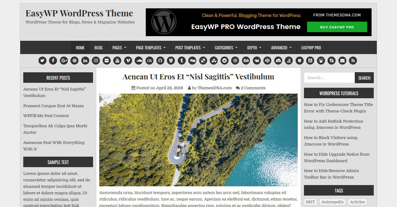 Easywp Wordpress Theme Themesdna