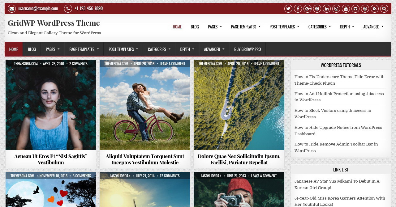 Gridwp Wordpress Theme Themesdna