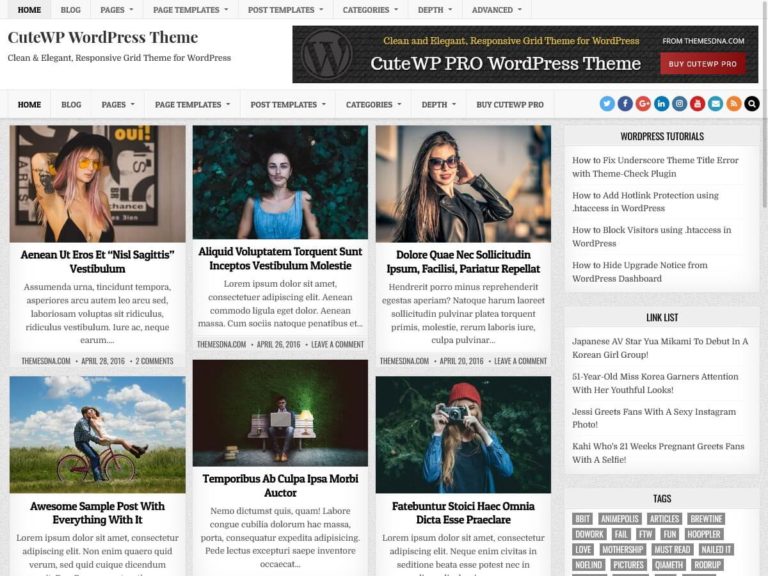 Cutewp Wordpress Theme Themesdna
