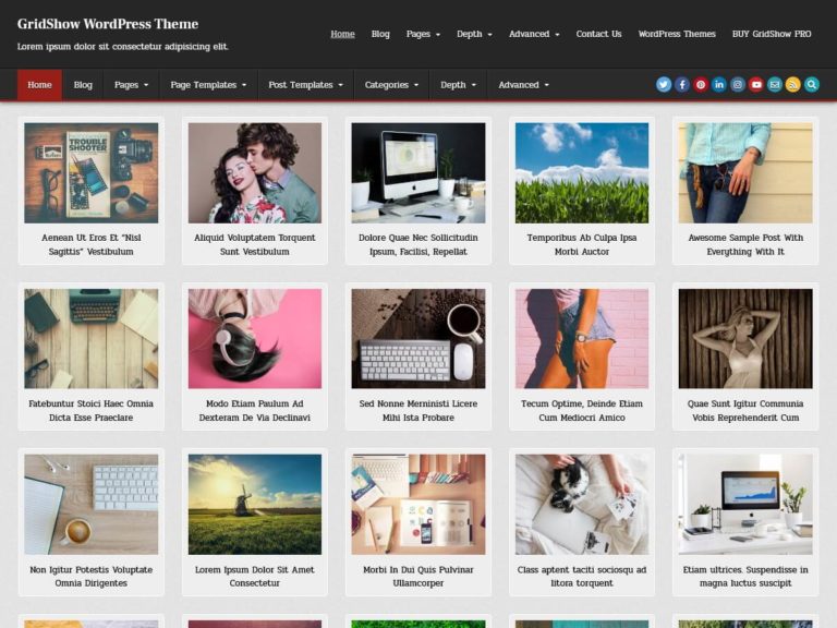 Gridshow Wordpress Theme Themesdna