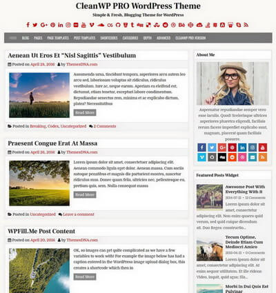 How to Remove WordPress Logo from the Admin Bar - ThemesDNA.com